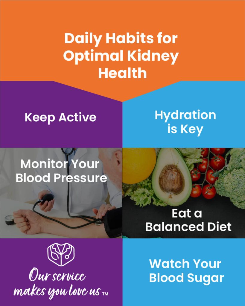Kidney Care 101: Daily Habits for Lifelong Kidney Health
