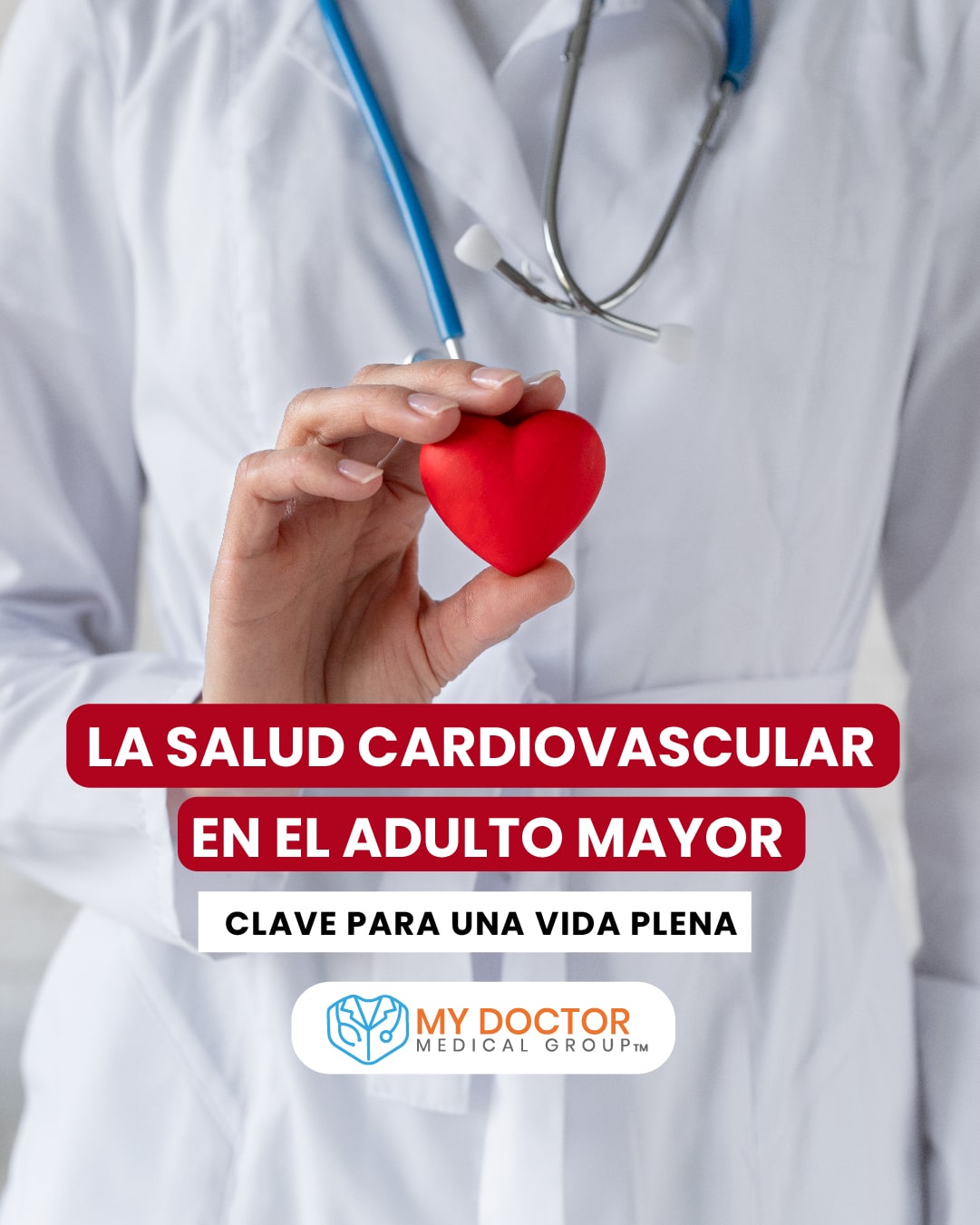 LA SALUD CARDIOVASCULAR EN EL ADULTO MAYOR: CLAVE PARA UNA VIDA PLENA ...
