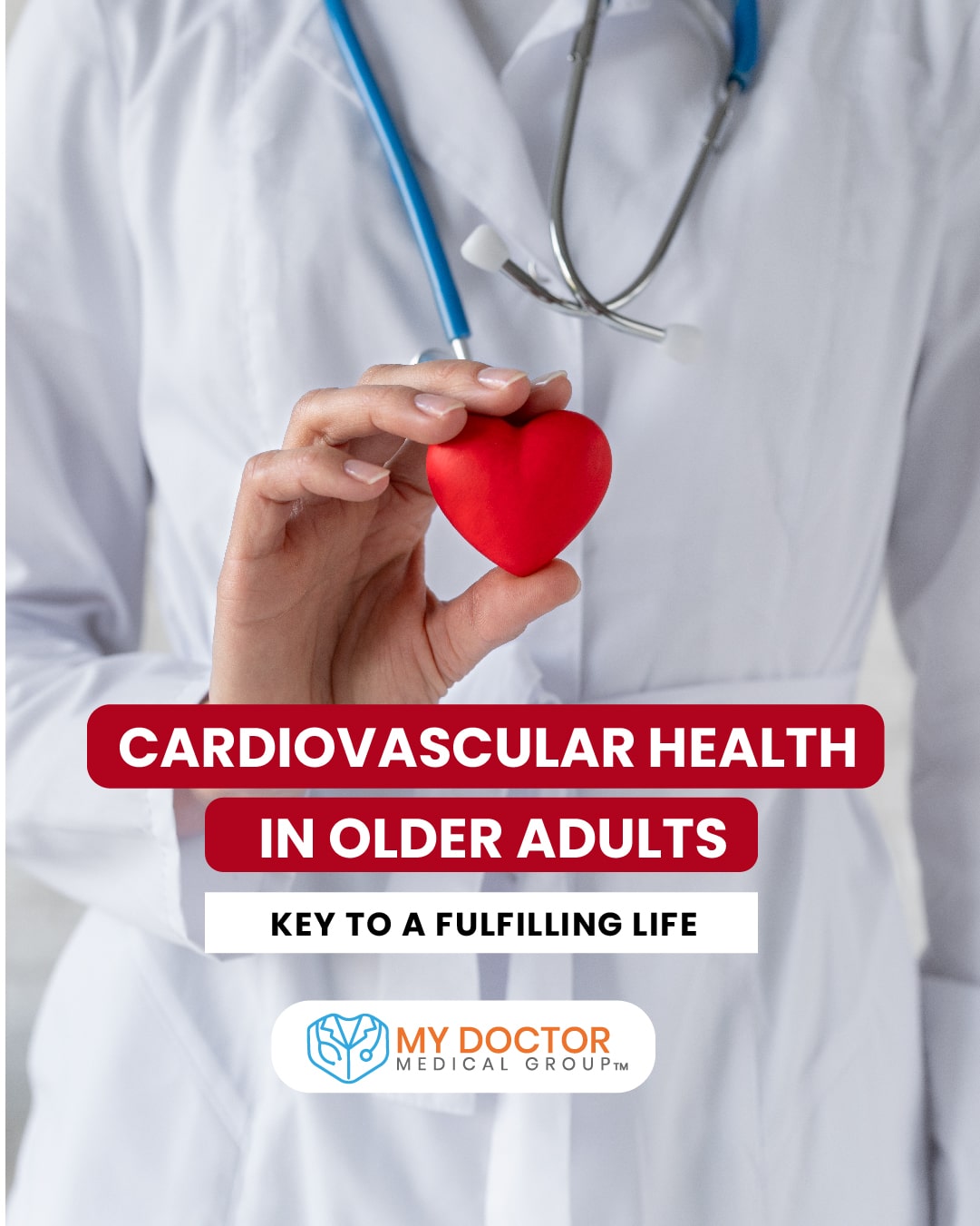 CARDIOVASCULAR HEALTH IN OLDER ADULTS: KEY TO A FULFILLING LIFE - My ...