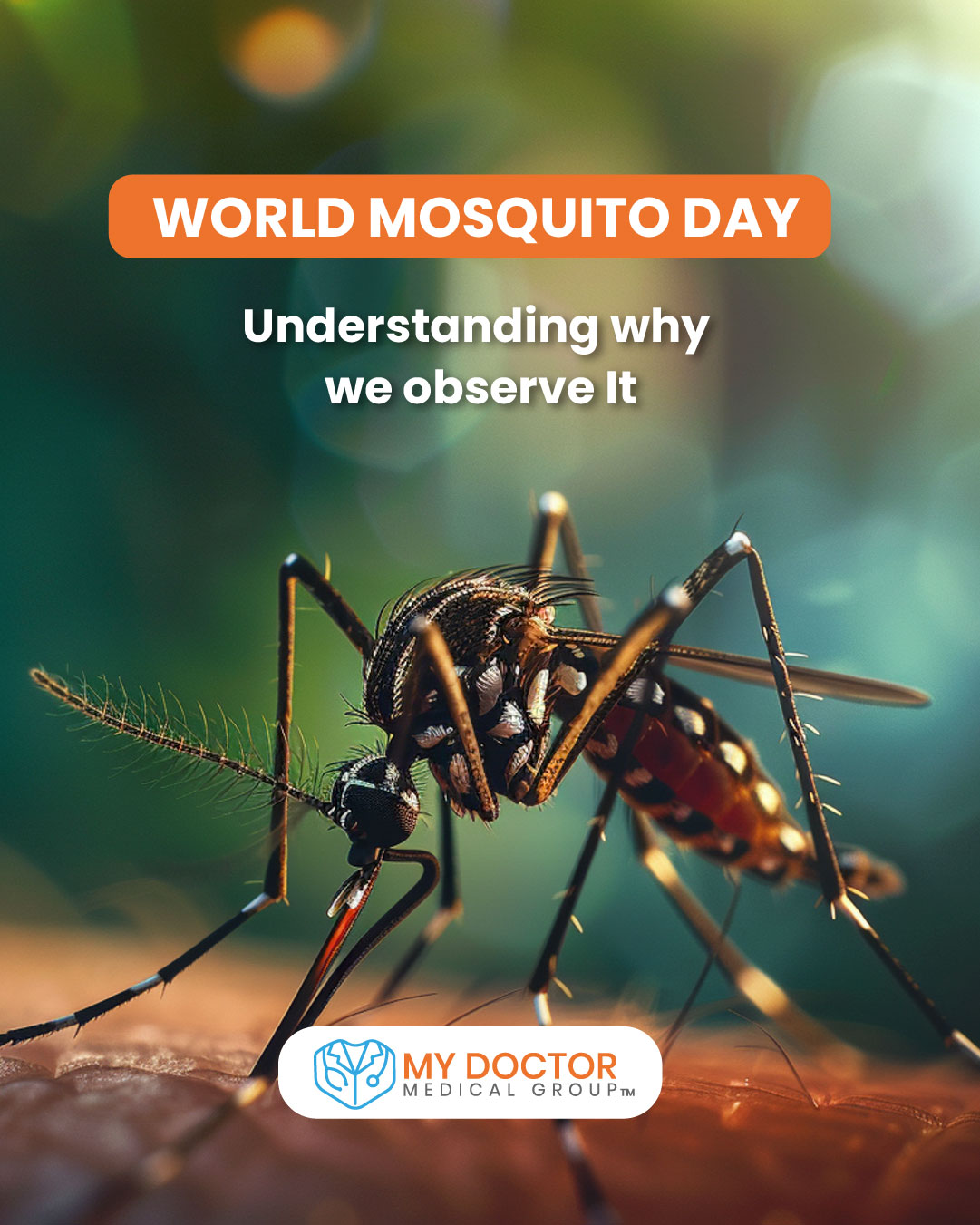 World Mosquito Day